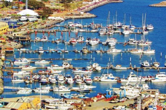 Ensenada Shore Excursion: City Tour & La Bufadora - Summing Up Who This Tour Is Best For