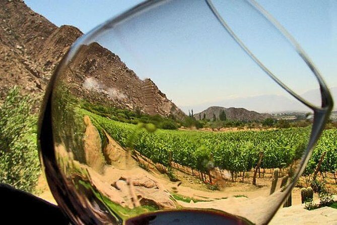 Ensenada Shore Excursion: Entre Santos and El Cielo Winery Tours with Lunch - A Closer Look at What’s Included