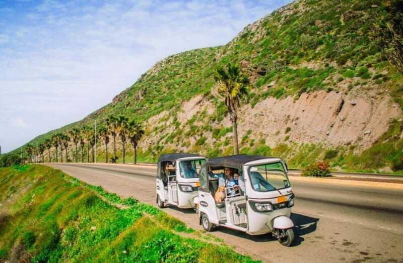 Ensenada: Street Gourmet Tour with Tacos and Drinks - Key Points