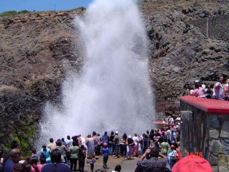 Ensenada : The unique bufadora private tour - Practicalities & Considerations