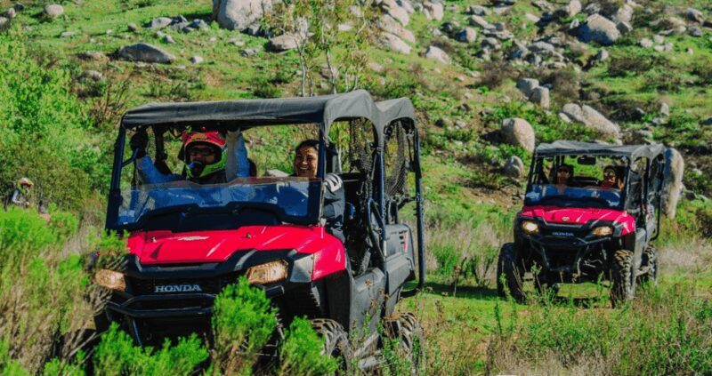 Ensenada: UTV Side by Side Rental - Final Thoughts: Who Will Love This?