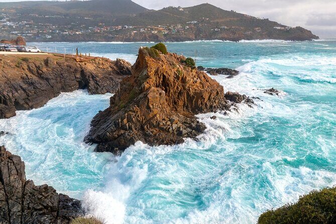 Ensenada Zipline and Blowhole Tour - Is It Worth the Price?