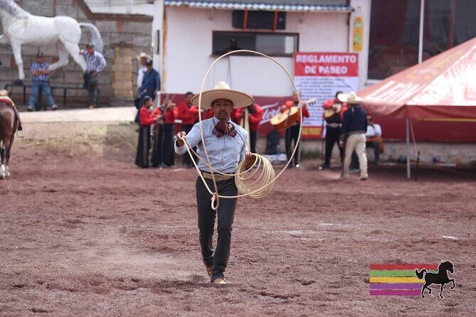 Entrance and transfer to the Texcoco International Horse Fair26 - Summary of Value and Recommendations