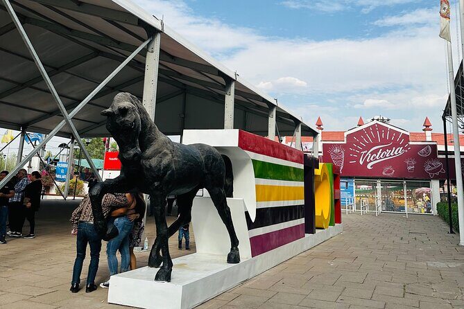 Entrance and transfer to the Texcoco International Horse Fair26 - FAQ