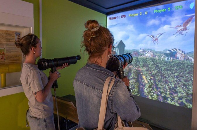 Entrance ticket to the Musée DE la Frite in Brussels - Practical Tips for Your Visit