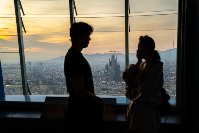 Entrance to the Mirador Torre Glories Barcelona - Introduction