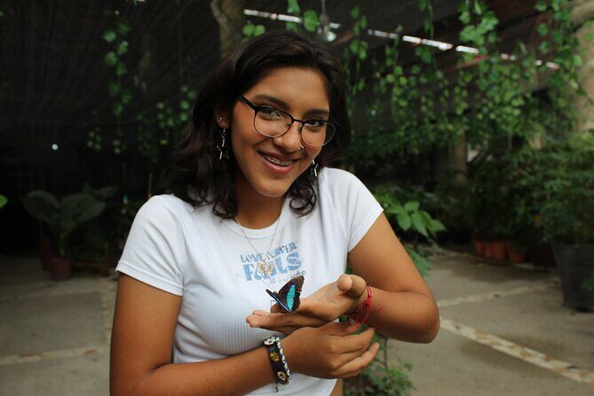 Entrance to the Morpho Butterfly and Liquor Tasting - Introduction: Our Take on the Morpho Butterfly and Liquor Tasting Experience