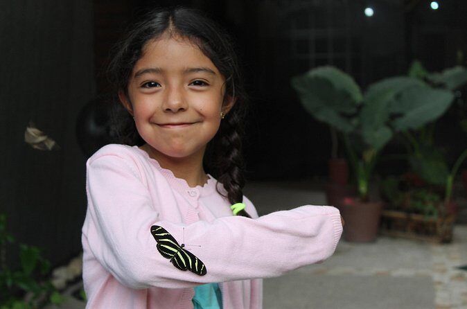 Entrance to the Morpho Butterfly and Liquor Tasting - Final Thoughts: Who Should Consider This Tour?