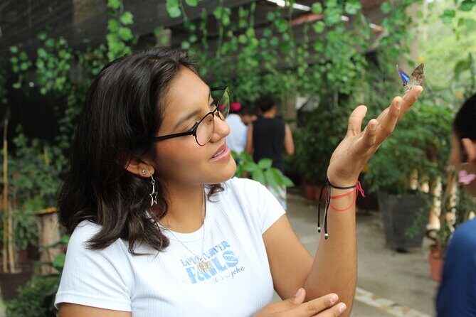 Entrance to the Morpho Butterfly and Liquor Tasting - Final Verdict