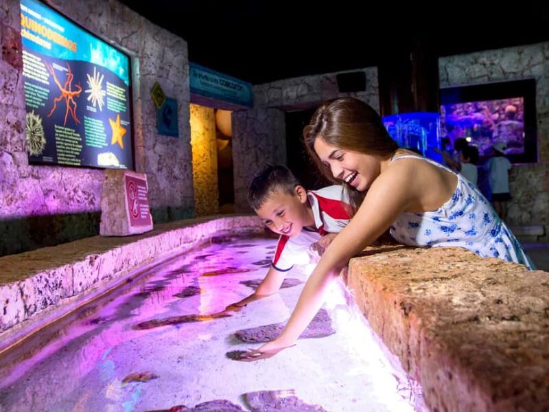 Entrance to Xcaret Adventure Park - Key Points