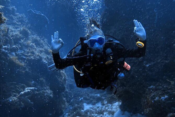 Entry Level PADI Course Discovery Scuba Dive - FAQs  