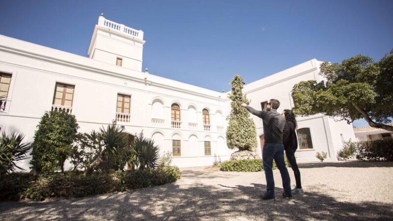 Entry ticket | Fundació Mas Miró - Mont-roig del Camp - The Experience: What You Can Expect