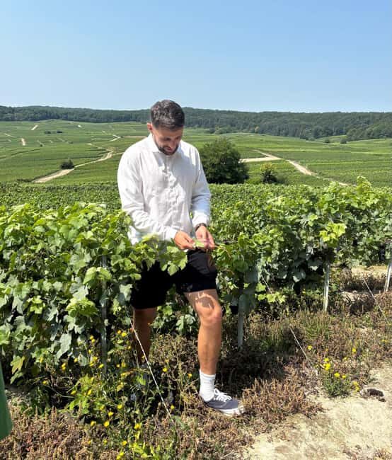 Epernay : Atypical Champagne tasting with a great view - The Views and Atmosphere