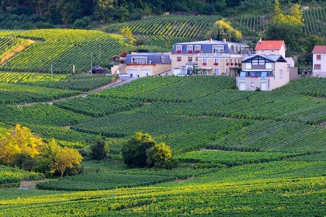 Epernay South Half Day Visit and Champagne Tastings - Starting Point: Epernay Tourist Office