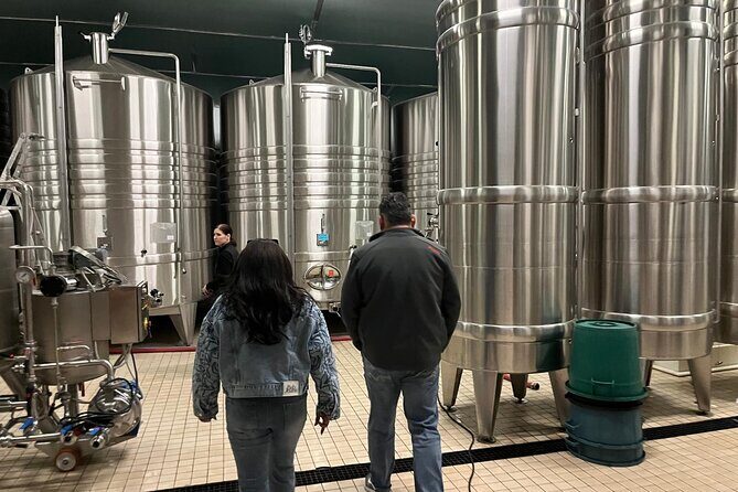 Epernay South Half Day Visit and Champagne Tastings - Champagne Jean Milan