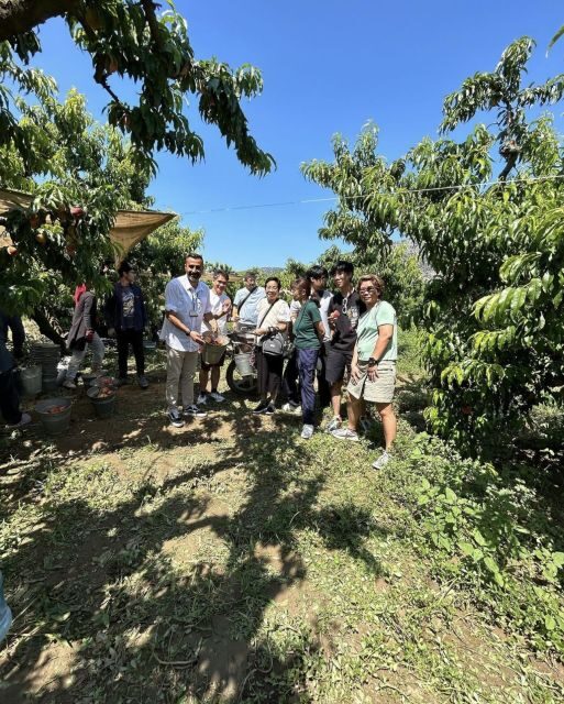 Ephesus Full-Day Tour from Kusadasi or Selcuk - The Sum Up: Who Is This Tour Best For?