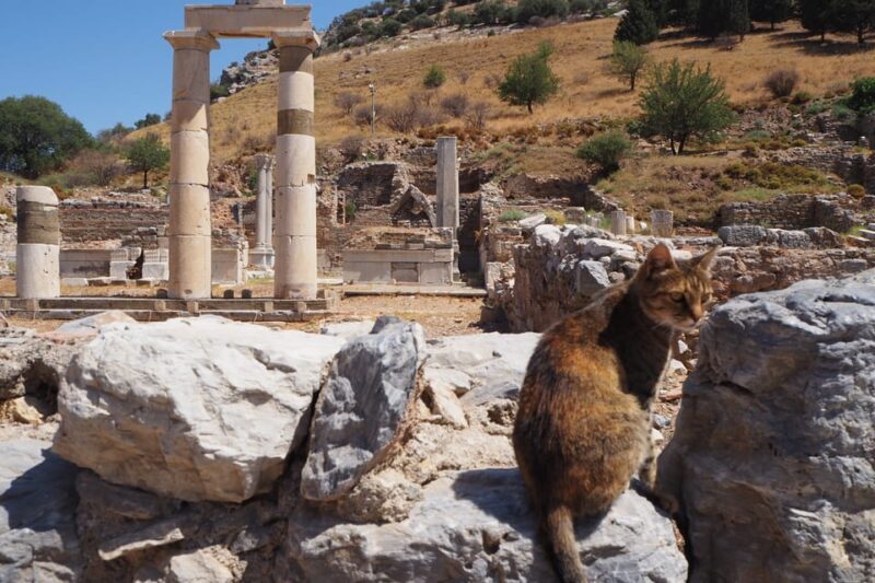 Ephesus: Half-Day Tour from Kusadasi - Final Thoughts