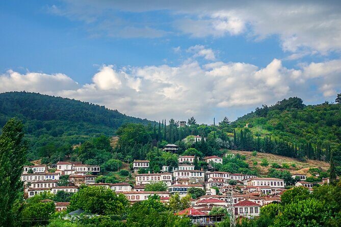 Ephesus Private Shore Excursion from Kuadas - Visiting Virgin Mary’s House