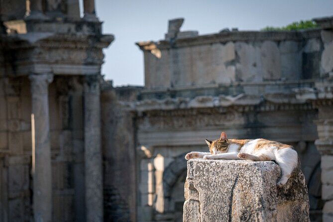 Ephesus: Private Tour with Skip-The-Line & Less Walking - Authentic Experience and Review Highlights