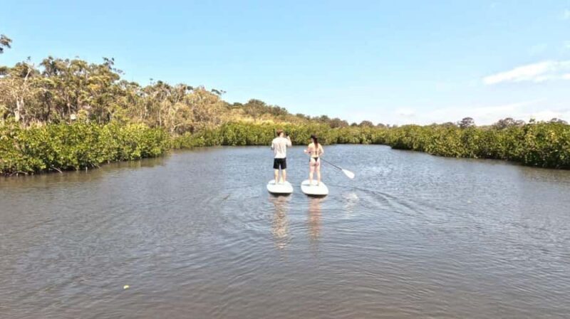 Epic Stand Up Paddle -Stingray & Mangrove Tour (Full Guided) - Who Should Consider This Tour?