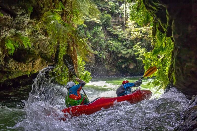 Epic Tandem Kayak Tour down the Kaituna River Waterfalls - Who Should Consider This Tour?