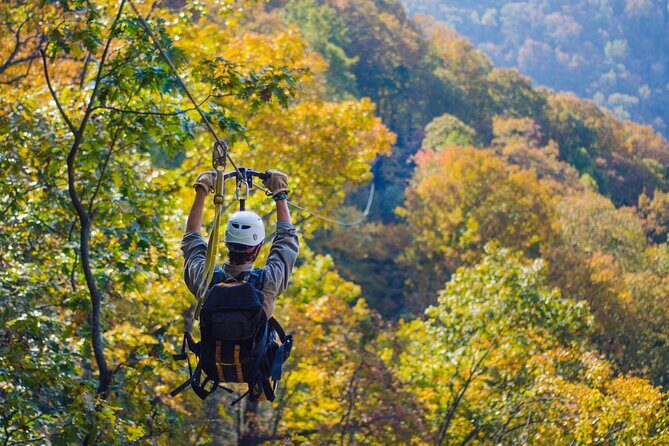 Epic Zipline Canopy Tour - The Gorge Zipline: Saluda, NC - Final Thoughts