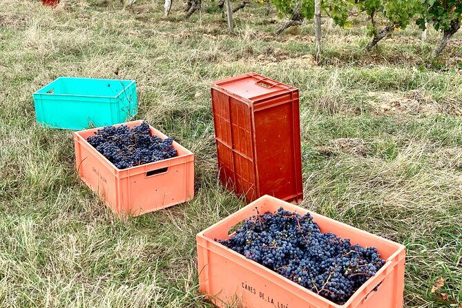 Epicurean Discovery Tour with Wine & Local Specialties - The Itinerary Breakdown