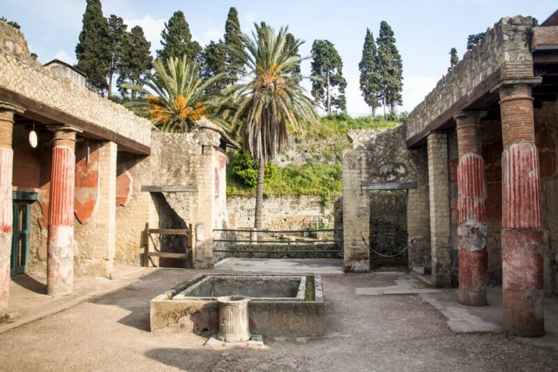Ercolano: Herculaneum Entry Ticket with Optional Audio Guide - Practical Tips for Your Visit