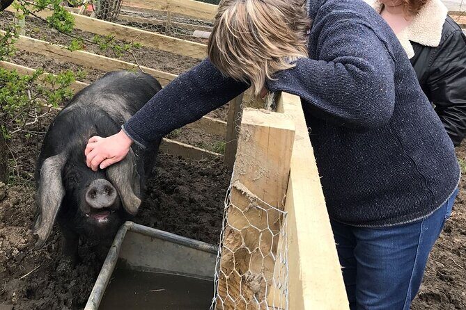 Errichel Farm Tour - Why Travelers Love Errichel Farm Tour
