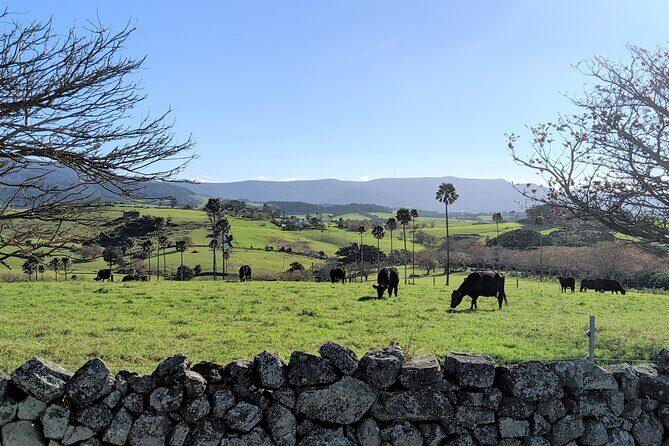 Erupting Blowholes and Ancient Rainforests SOUTH COAST OF SYDNEY PRIVATE TOUR - Final Thoughts