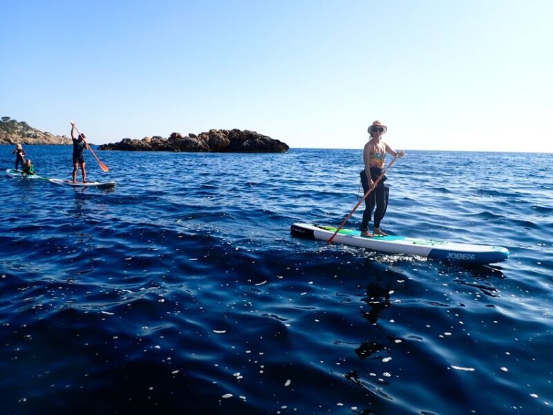 Es Figueral: Standup Paddleboarding Adventure - Key Points