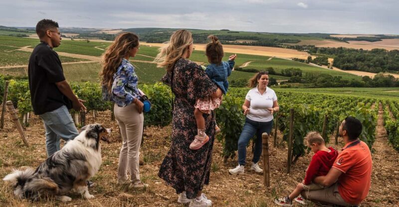 Escapade and tasting in the Chablis vineyards - An In-Depth Look at the Tour Itinerary