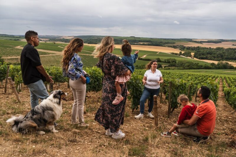 Escapade and tasting in the Chablis vineyards - The Value and Price Point