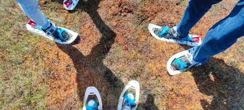 Escape from Tallinn  Hike, Swim, Forage & Cuddle Sled Dogs - Exploring the Details of This Unique Tour