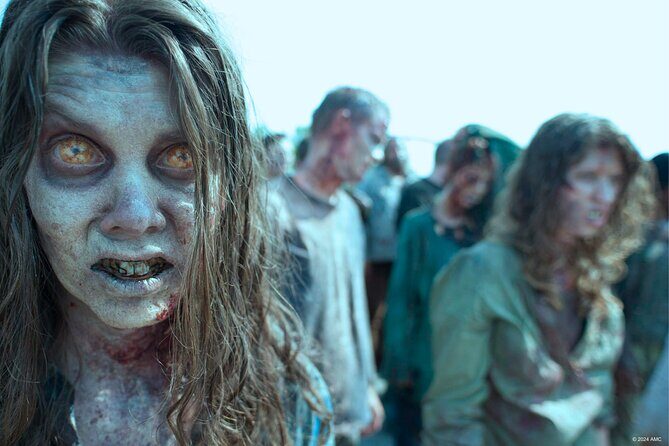 Escape Game Outdoor The Walking Dead in Caen - The Sum Up