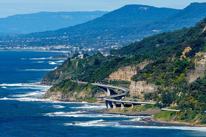 Escape Sydney: Sea Cliff Bridge, Wildlife, Kiama Coast Private - Key Points