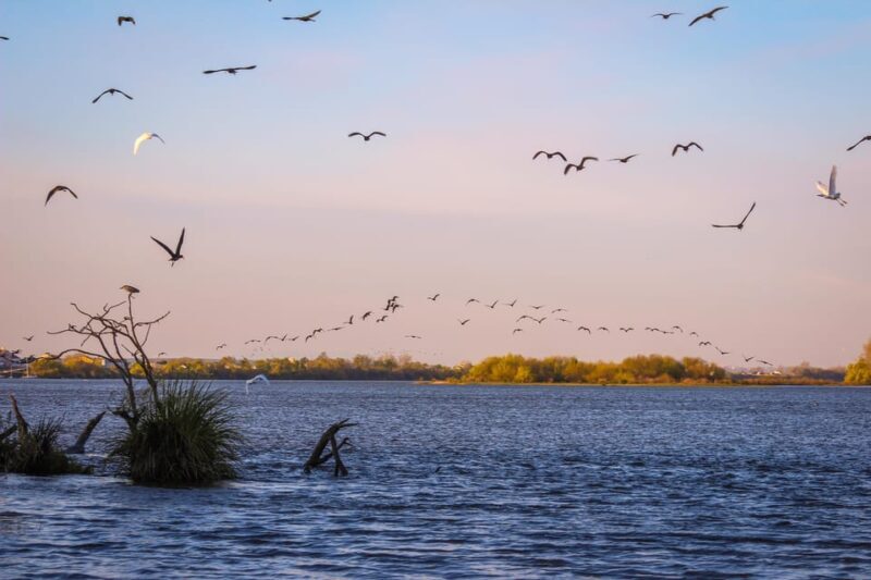 Escaroupim: 1 hour boat trip, guided tour - Key Points
