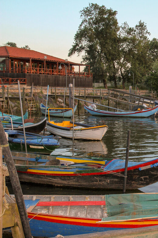 Escaroupim: 1 hour boat trip, guided tour - Who Will Appreciate This Tour?