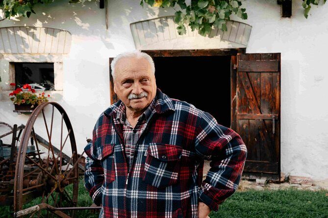 eský Krumlov & Holaovice UNESCO Village Small Group Day Tour - Analyzing the Value: Is It Worth the Cost?