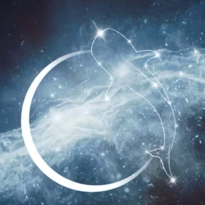 Esperance: Astronomy Night Experience - The Sum Up: Is the Esperance Astronomy Night Experience Worth It?