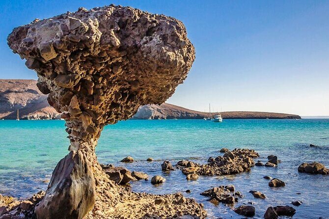 Espiritu Santo and Sealion Swimming aboard a luxury yacht - The Experience in Practice
