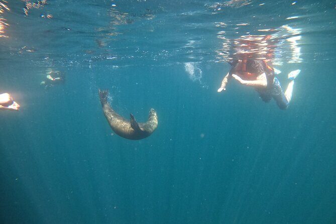 Espiritu Santo Island and sea lions - Final Thoughts