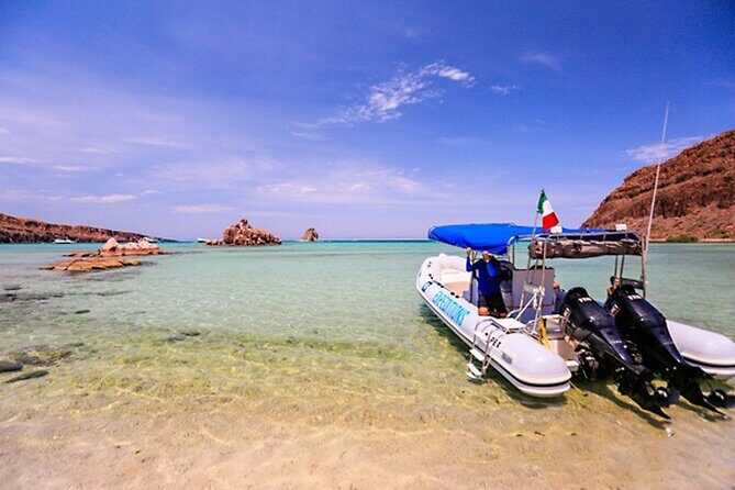 Espiritu Santo Island Full-Day Cruise with Snorkeling and Lunch! Round Trip - Who Will Love This Tour?