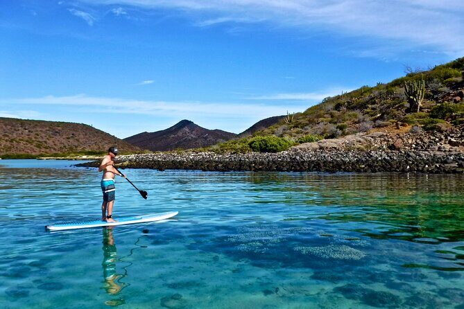 Espiritu Santo Island, Sea Lions & Paddleboard 1 to 10 Private Group Adventure - An In-Depth Look at the Experience