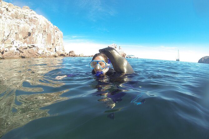 Espiritu Santo Island, Sea Lions & Paddleboard 1 to 10 Private Group Adventure - FAQs