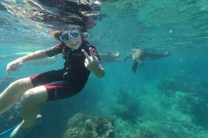 Espíritu Santo Island snorkel and sightseeing tour on Small Group - Exploring the Magic of Espíritu Santo Island  