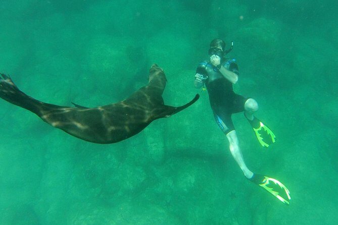 Espiritu Santo Island Snorkel & Sea Lion Adventure - Final Thoughts