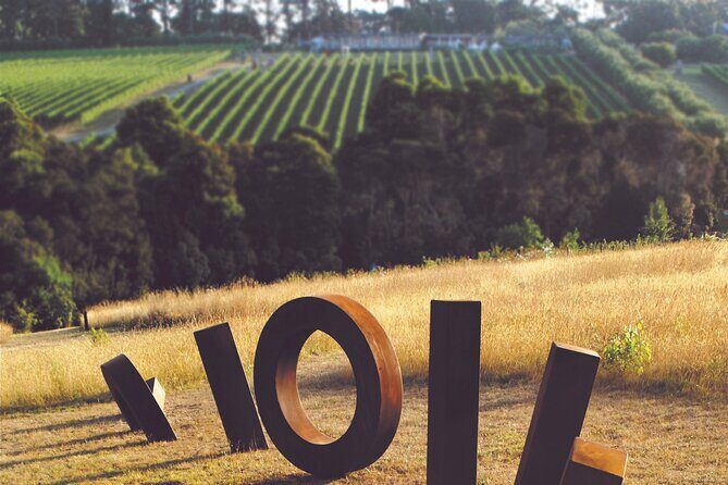 Estate to Plate: Montalto Vineyard Gourmet Lunch and Wine-Tasting Tour - Practical Details