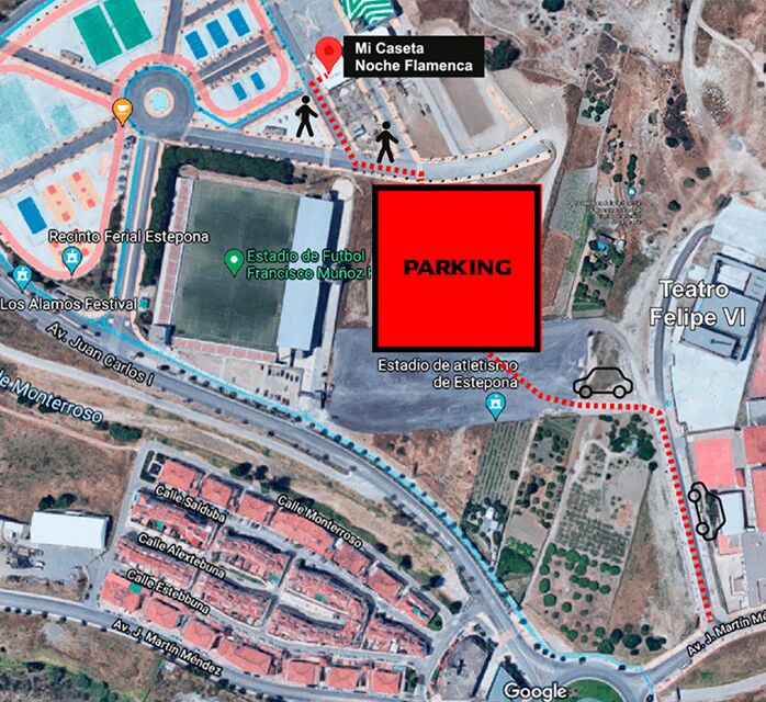 Estepona: Andalusian Flamenco Show Entry Ticket with Drink - Key Points