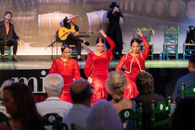 Estepona: Andalusian Flamenco Show Entry Ticket with Drink - Final Thoughts: Is It Worth It?
